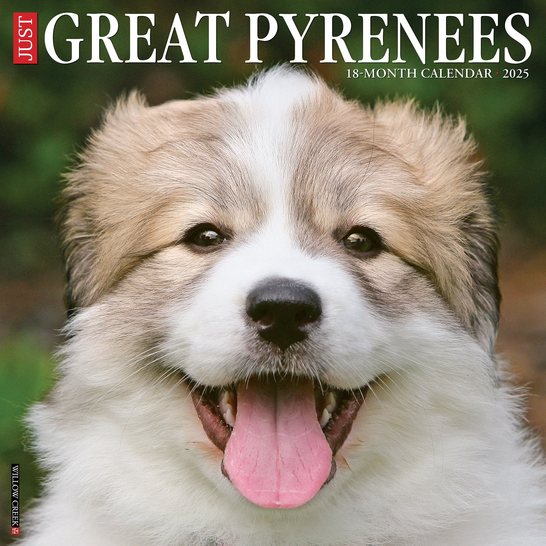 Great Pyrenees 2025 Wall Calendar - Walmart.com