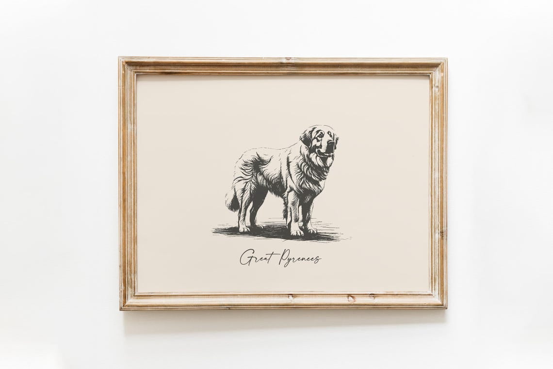 Great Pyrenees Dog Drawing Farmhouse Countryside Wall Decor, Unframed ...
