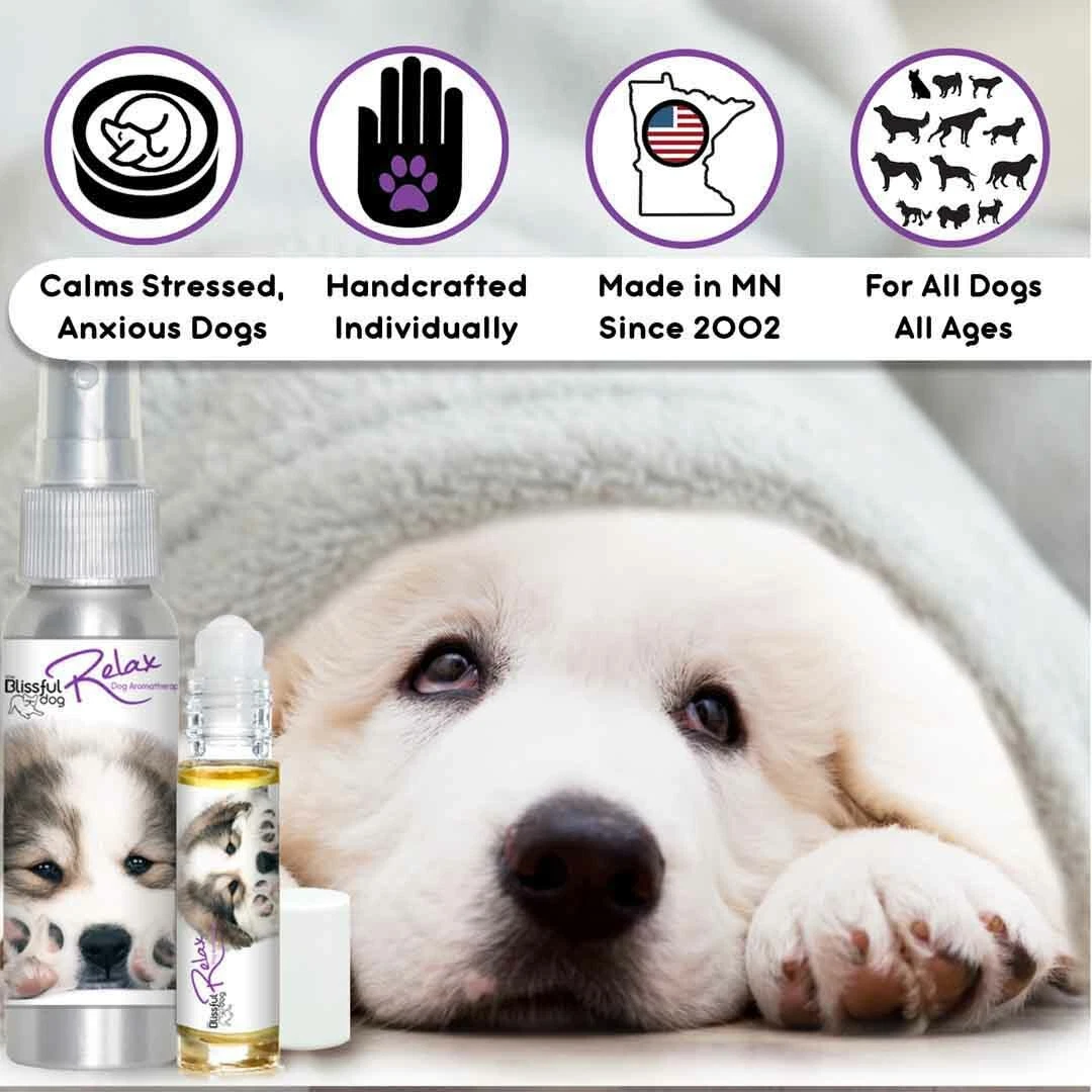 Great Pyrenees Relax Dog Aromatherapy | Calms Frightened, Anxious Dogs Naturally - Walmart.com