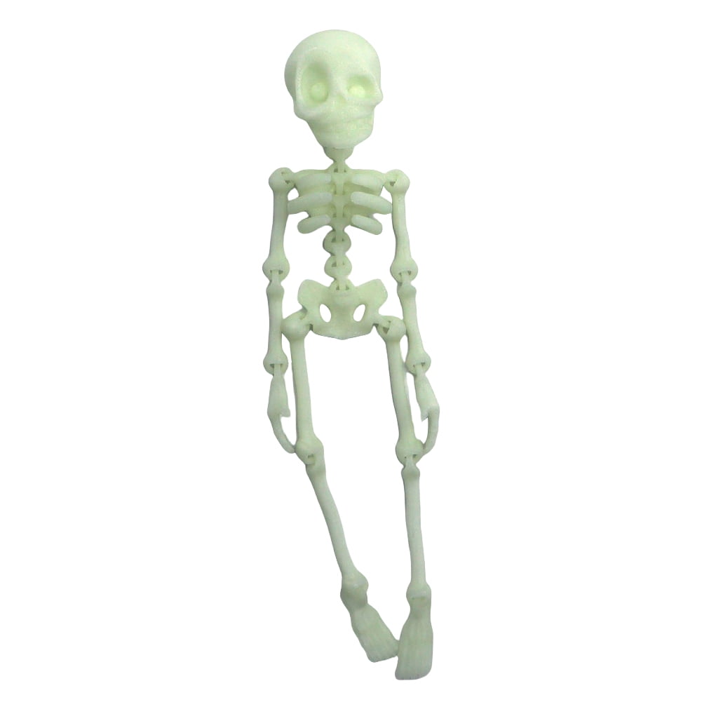 Great Sale! 3D Printed Skeleton Figurine, Full Body Skeleton Fridge ...