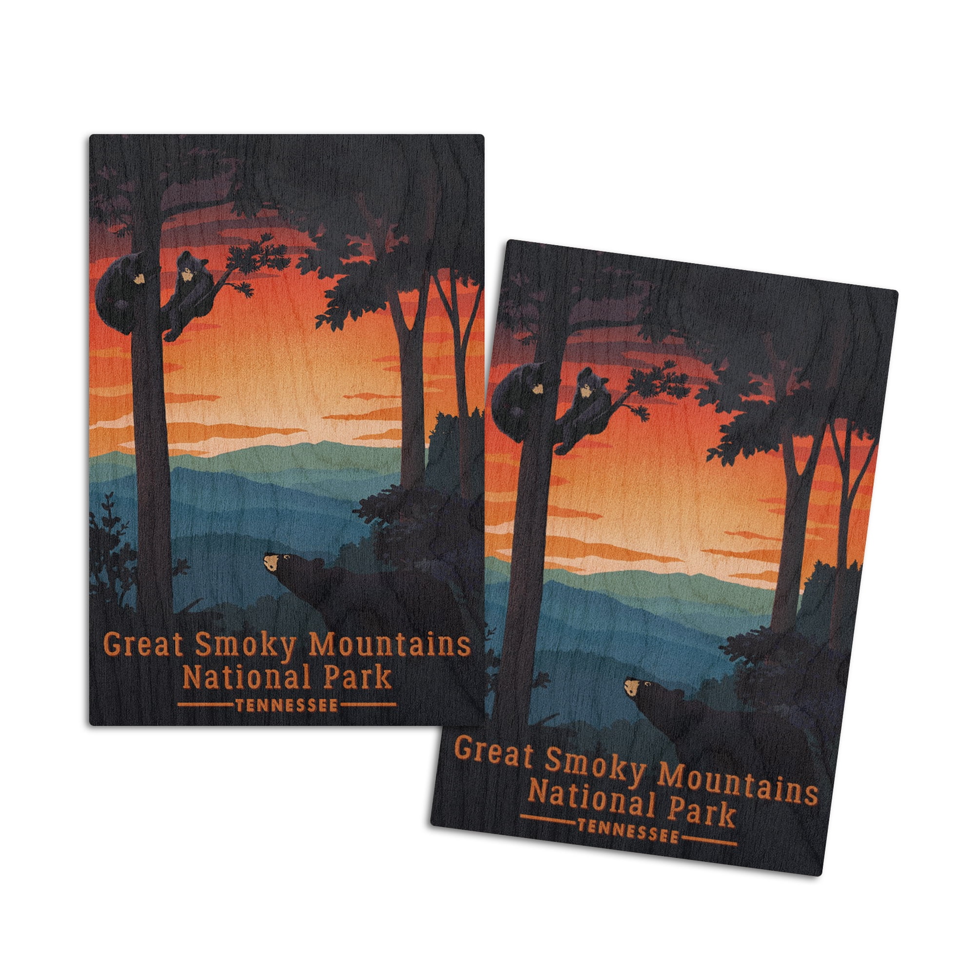 Great Smoky Mountains National Park, Tennessee, Black Bear Family ...