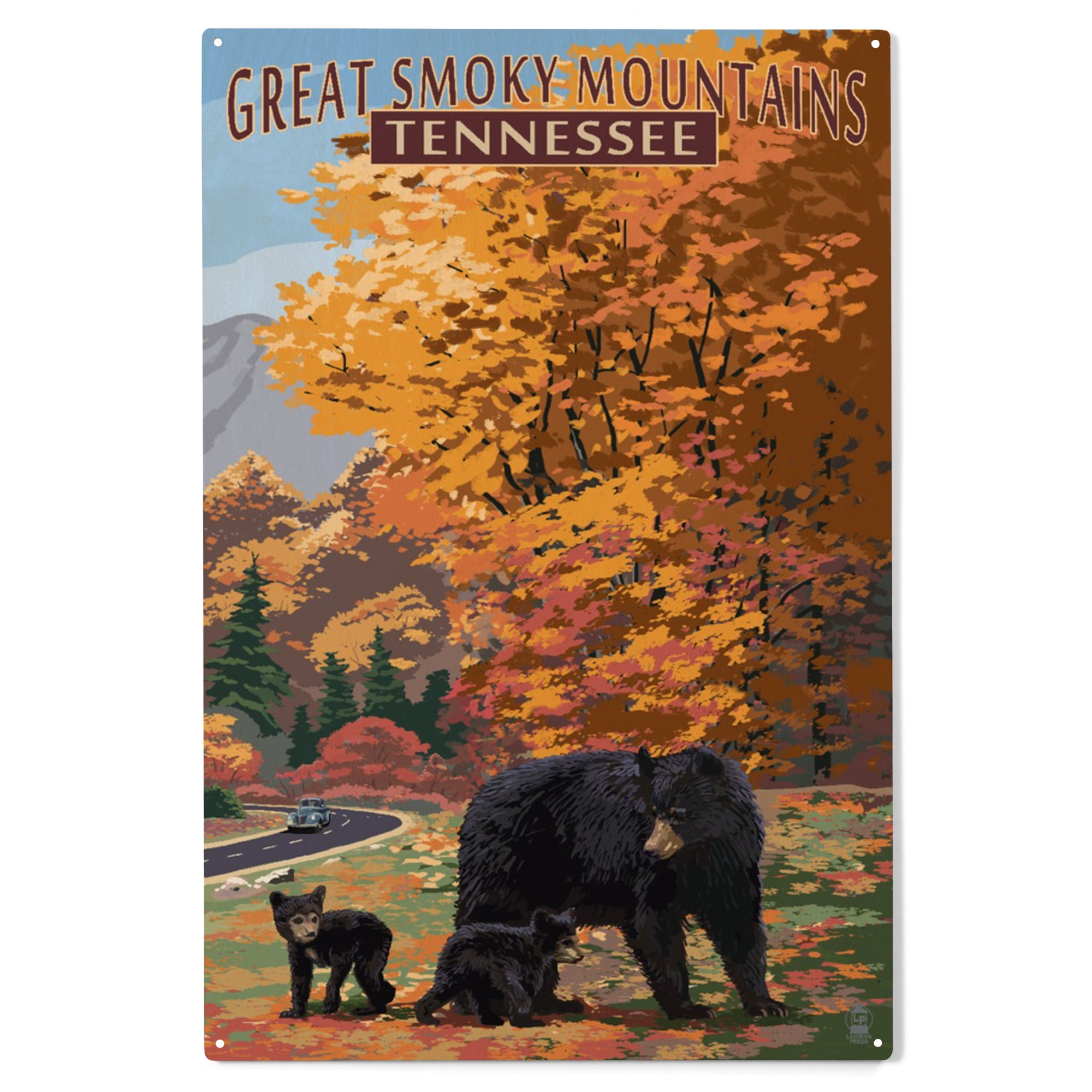 Great Smoky Mountains, Tennessee, Bear Family and Fall Colors Birch ...
