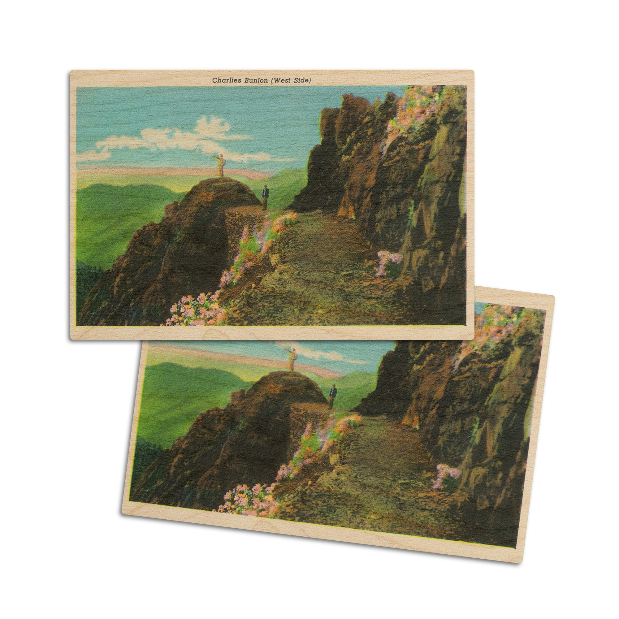 Great Smoky Mts. National Park, TN, West Side View of Charlies Bunion (4x6 Birch Wood Postcards ...