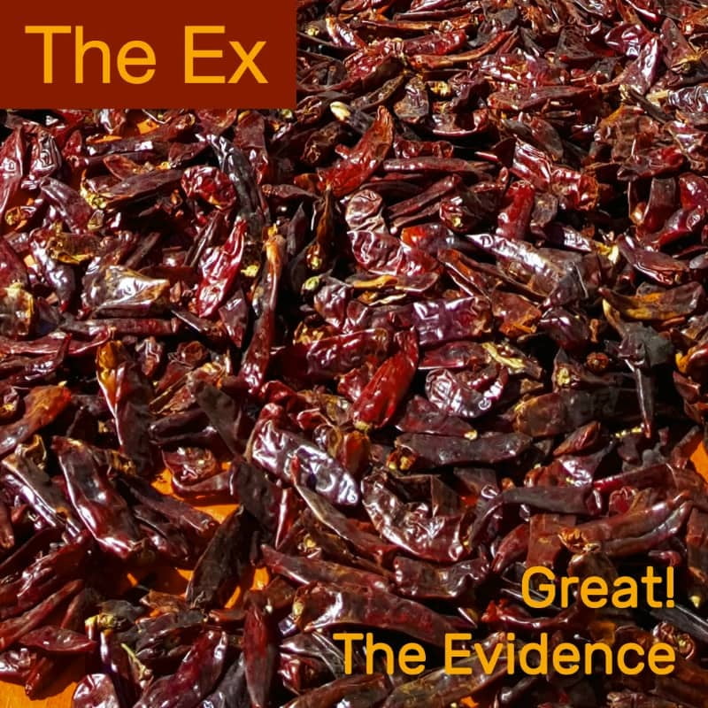 The Ex Great!/The Evidence (Vinyl Record) 7" Single - Walmart.com