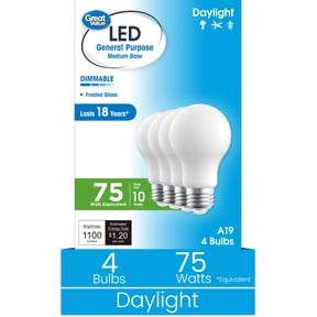 75w Light Bulbs