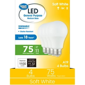 75 Watt LED Bulbs