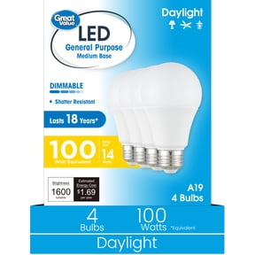 Philips Plug and Play 4Ft (48-inch) Type A T8/T12 Cool White 32-Watt ...