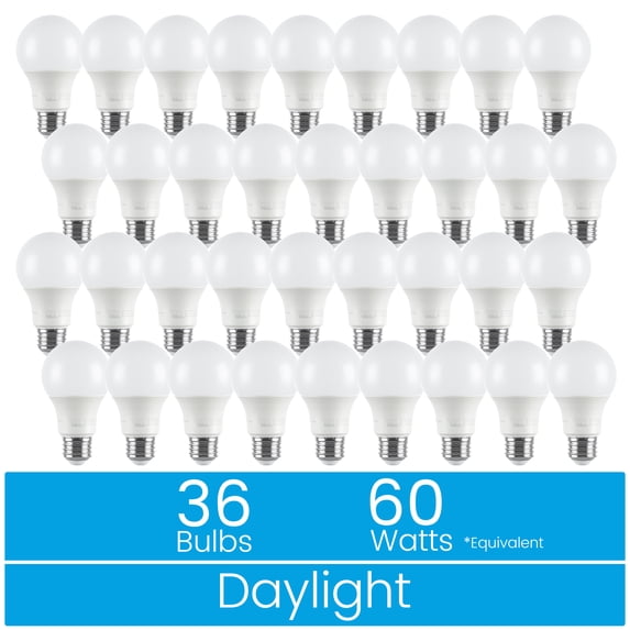Free Shipping! Great Value A19 LED Light Bulb, 9W 60W Equivalent ...