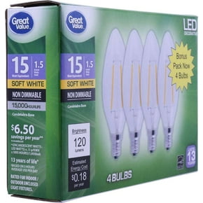 15 Watt Led Light Bulb