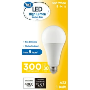 Music LED Light Bulb with Built-in Bluetooth Speaker, E26 Base ...