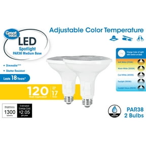 15 Watt Light Bulbs