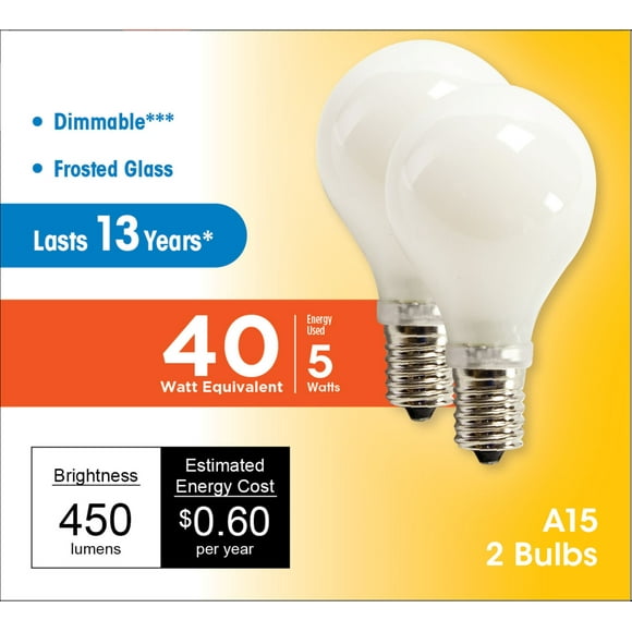 40 Watt Light Bulbs