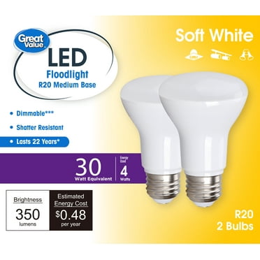 Great Value LED Soft White Medium Base R14 4 Watts - Walmart.com