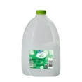 Great Value Spring Water, 1 Gallon - Walmart.com