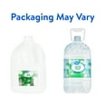 Great Value Spring Water, 1 Gallon - Walmart.com