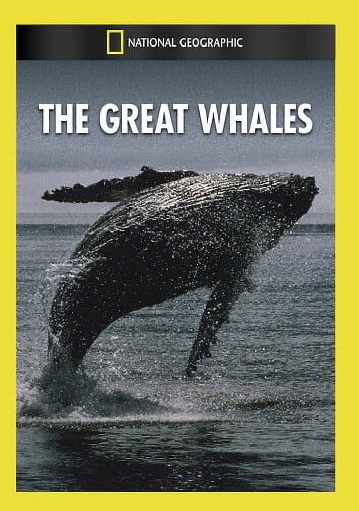 Great Whales (DVD), National Geographic, Documentary - Walmart.com