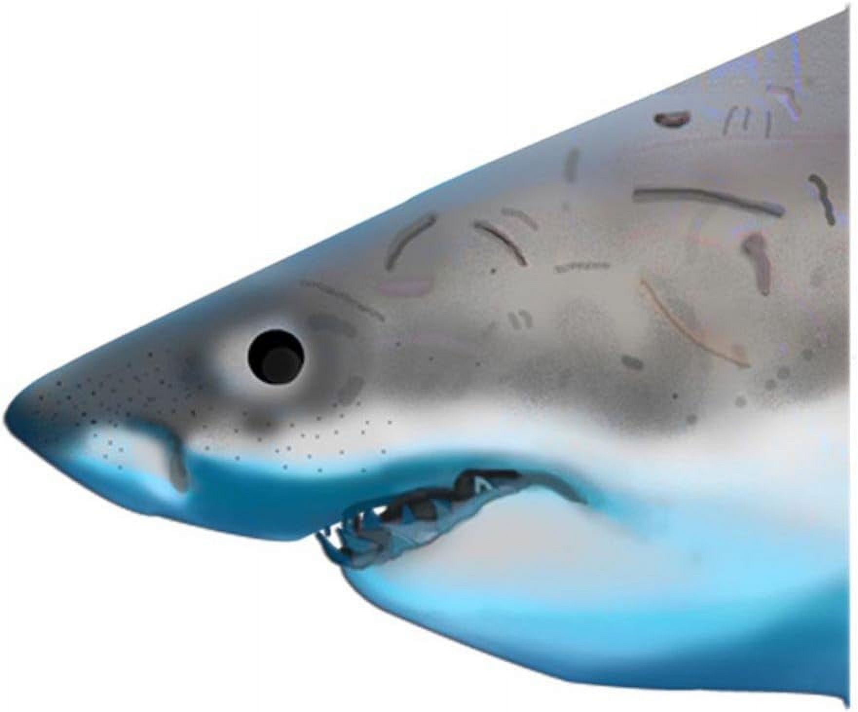 Great White Head Wall Decal Peel & Stick Art Wall Mural Profile PA22 ...