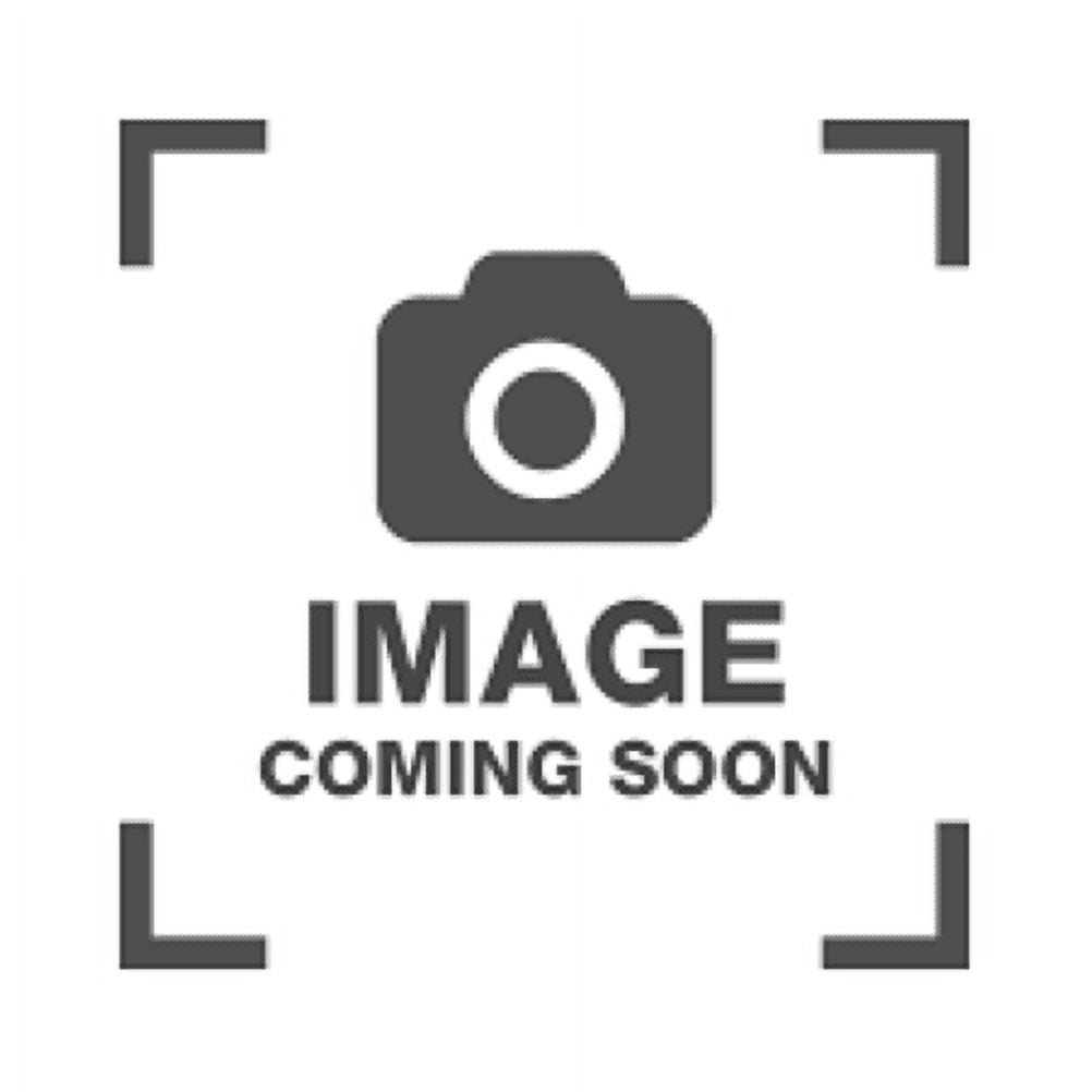 Great White - Icon Series: Great White (CD) - Walmart.com