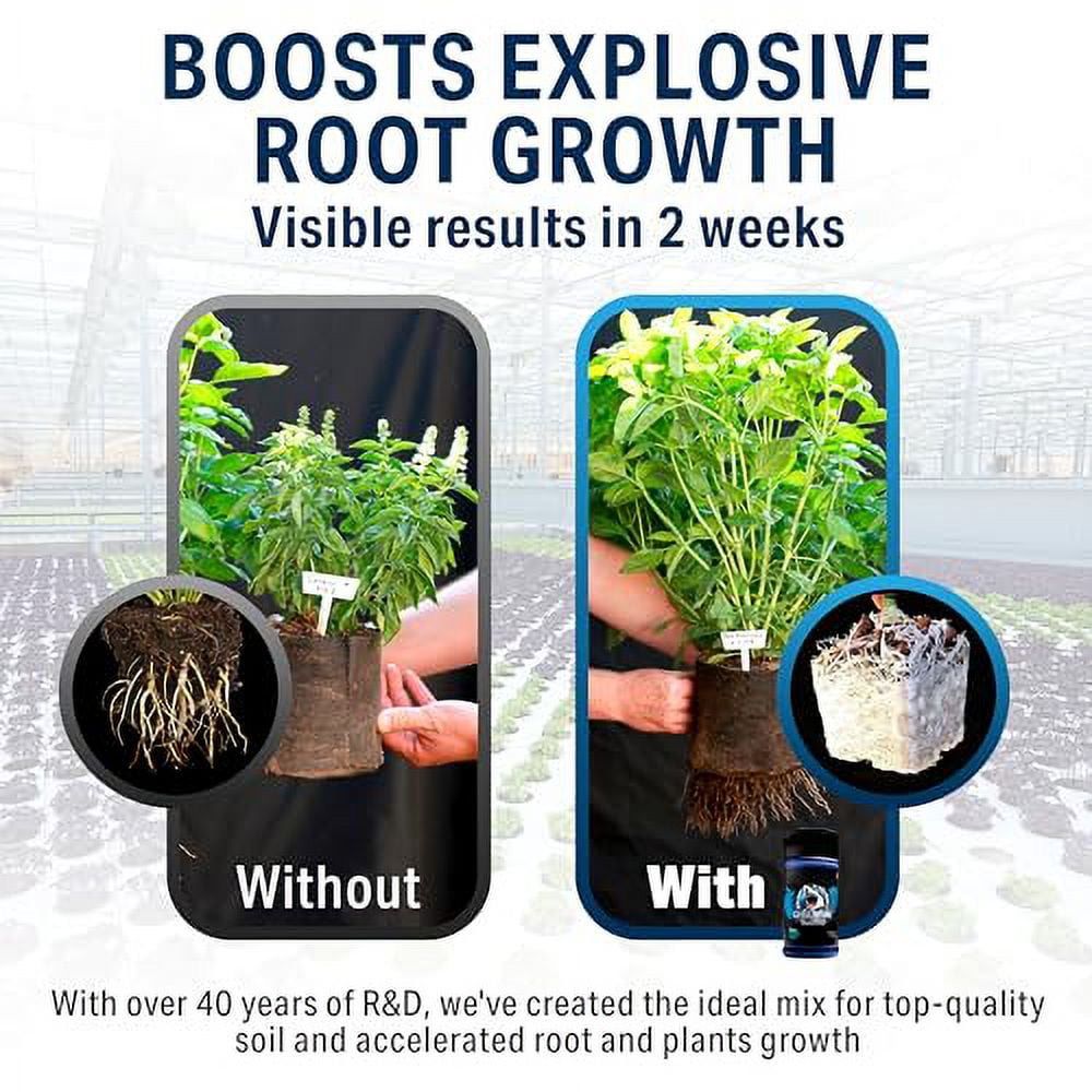 Great White Mycorrhizal Fungi Root Stimulator by Plant Success ...