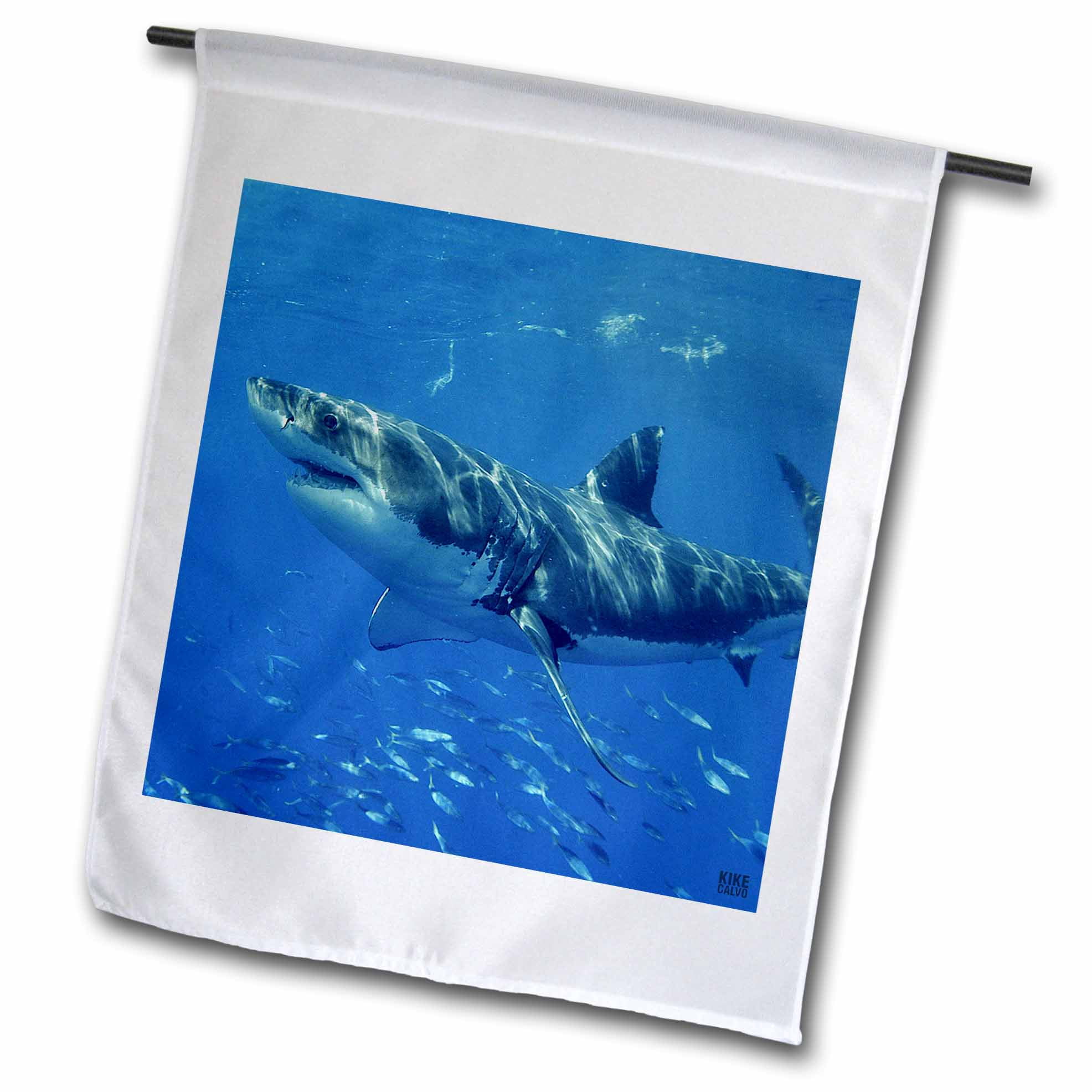 3dRose, Great White Shark, 12 x 18 inch Garden Flag - Walmart.com