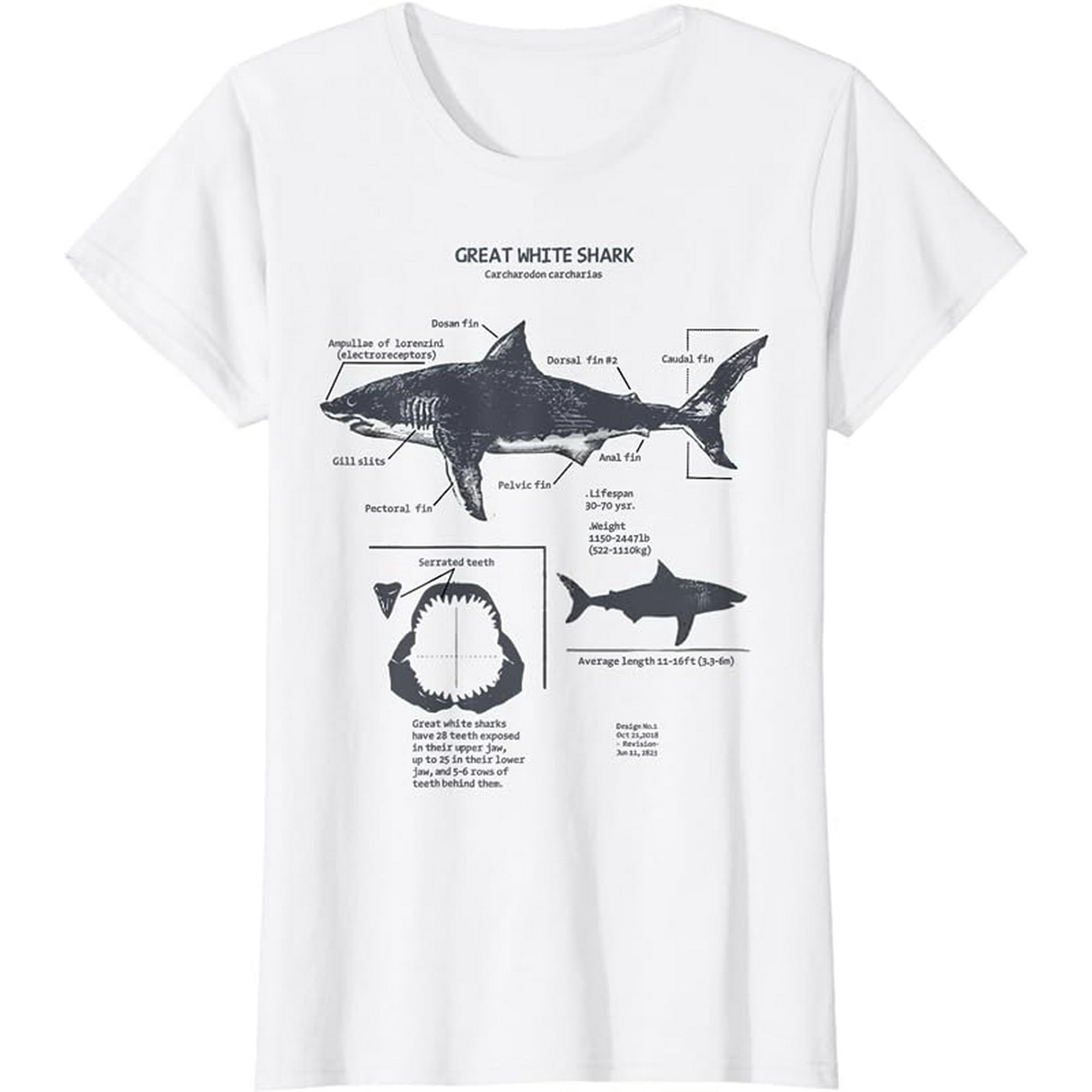 Marine Biologist With Shark