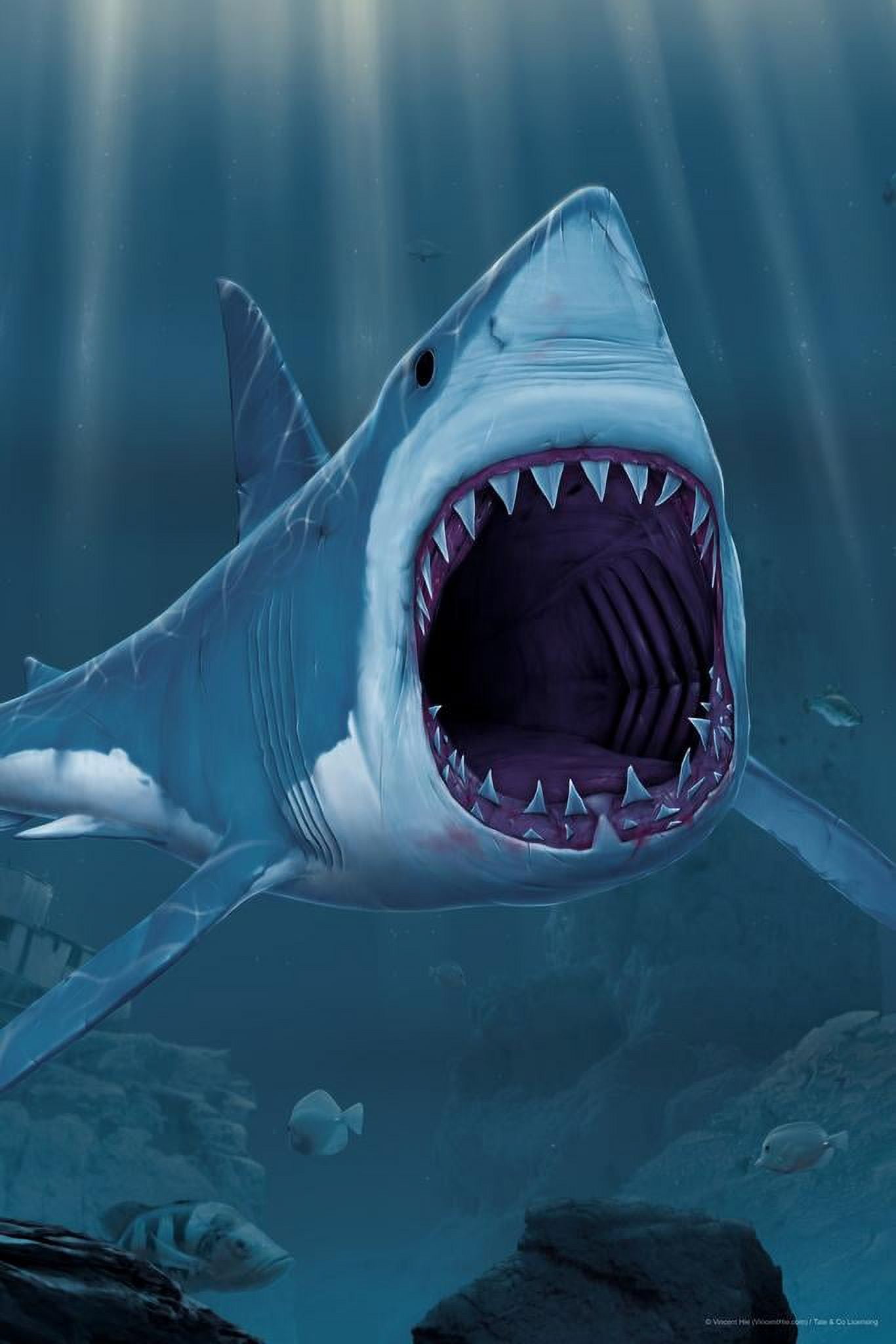 Great White Shark Bite Huge Jaws by Vincent Hie Shark Posters For Walls Shark Pictures Cool ...
