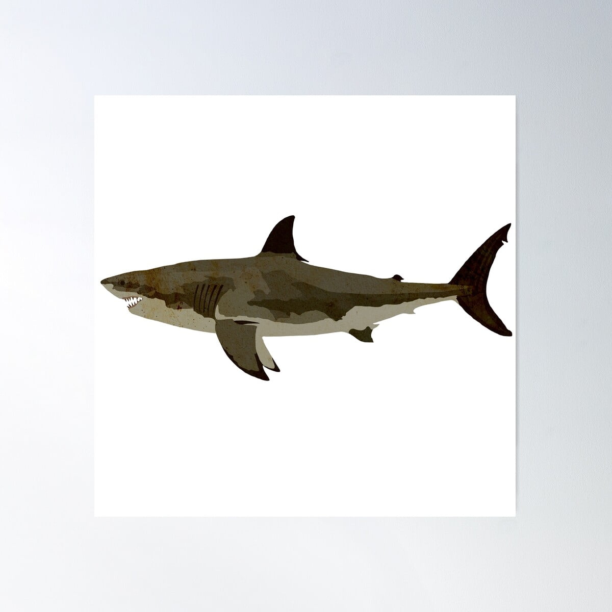 Great White Shark Poster Wall Art, Modern Wall Decor For Living Room ...