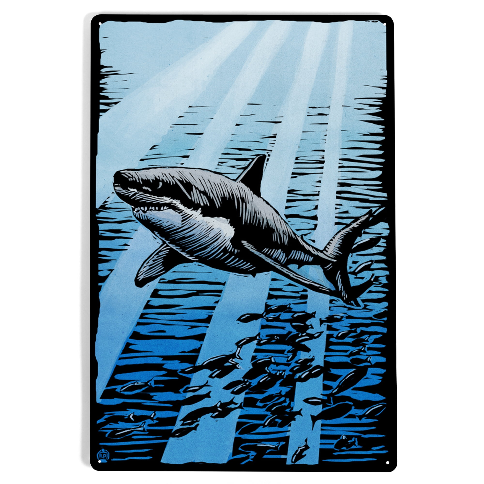 Great White Shark, Scratchboard (12x18 Aluminum Art, Indoor Outdoor ...