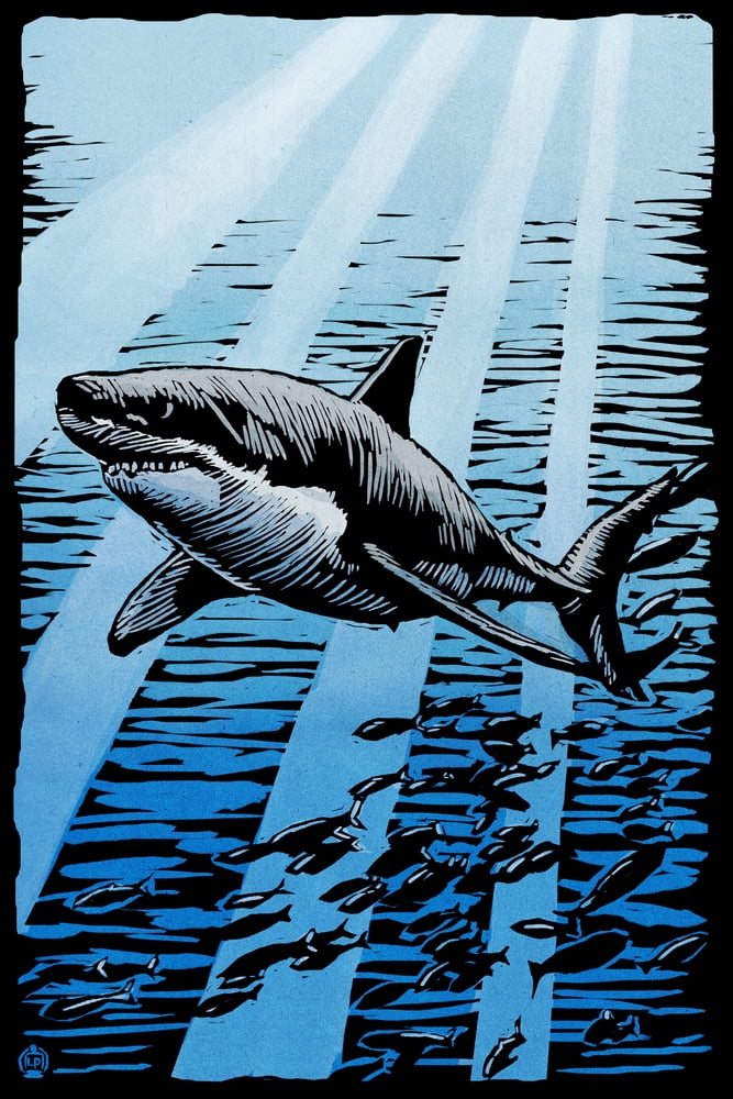 Great White Shark, Scratchboard (16x24 Giclee Gallery Art Print, Vivid ...