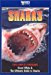 Pre-Owned Great White/The Ultimate Guide To Sharks - Walmart.com