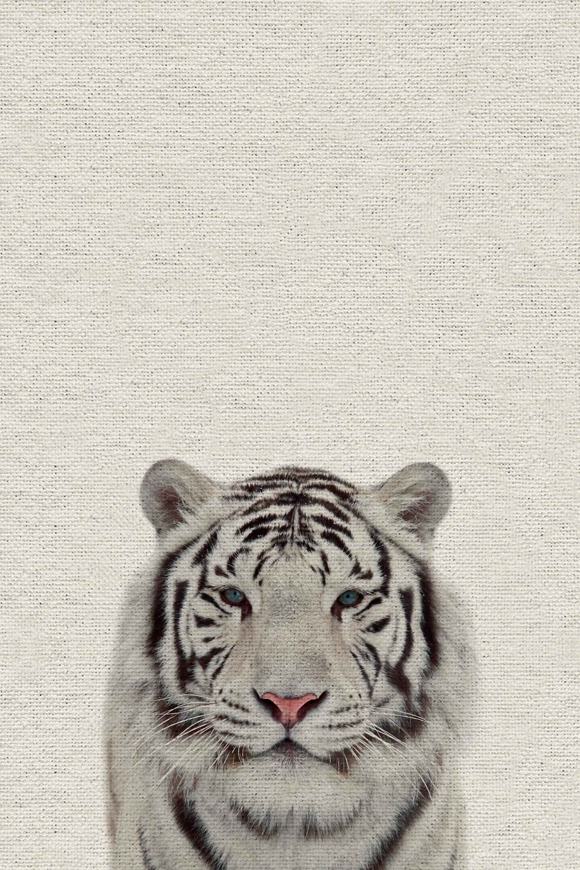 Great White Tiger Painting Print on Wrapped Canvas - Walmart.com