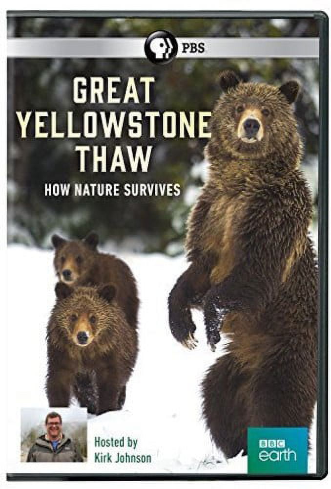 Great Yellowstone Thaw: How Nature Survives (DVD), PBS (Direct ...