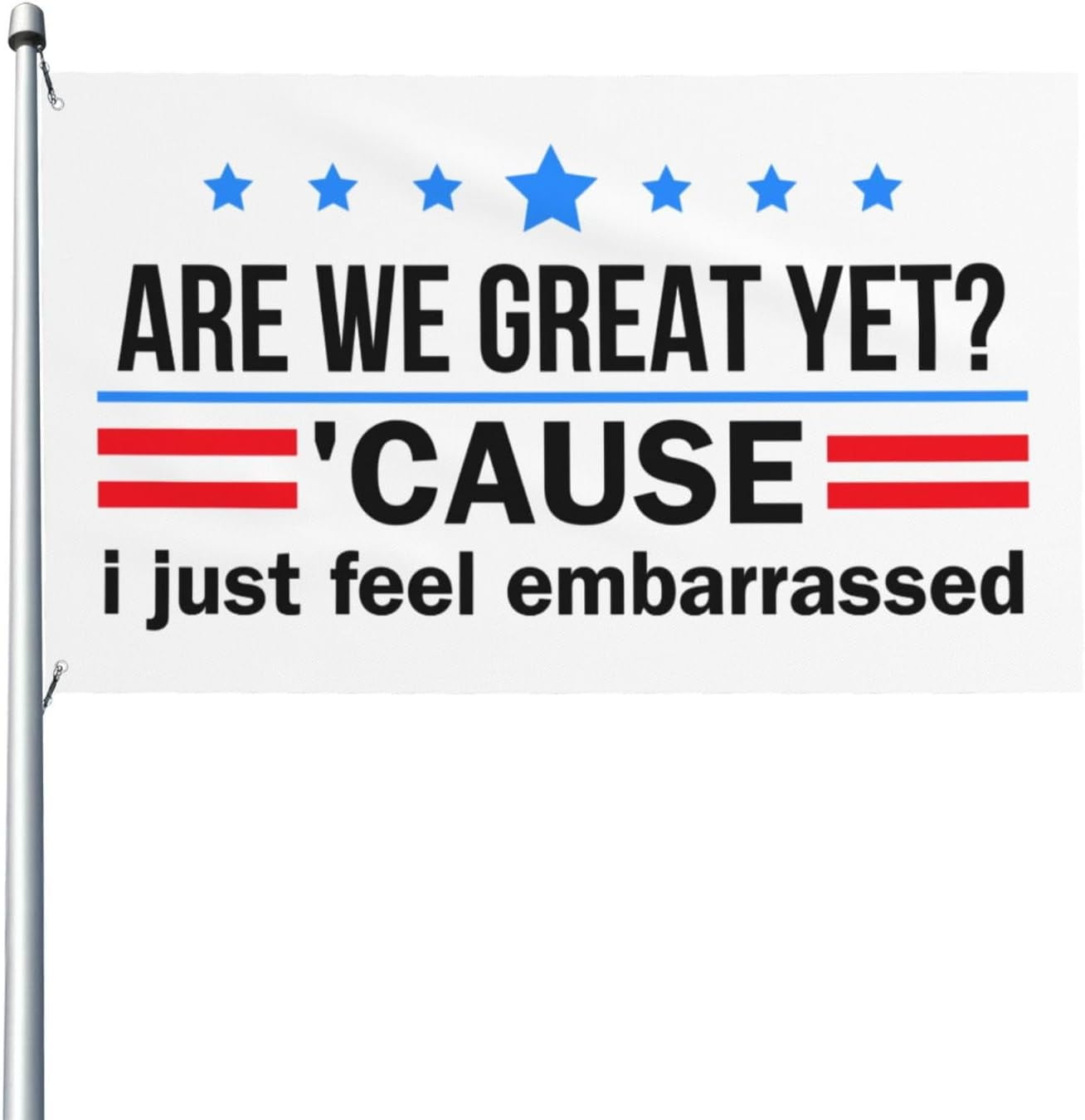 are We Great Yet Cause I Just Feel Embarrassed Anti Flag 3x5 Anti Flag ...