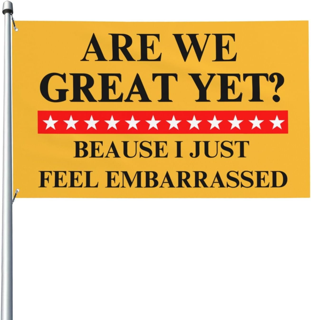 are We Great Yet Cause I Just Feel Embarrassed Anti Flag 3x5 Anti Flag ...