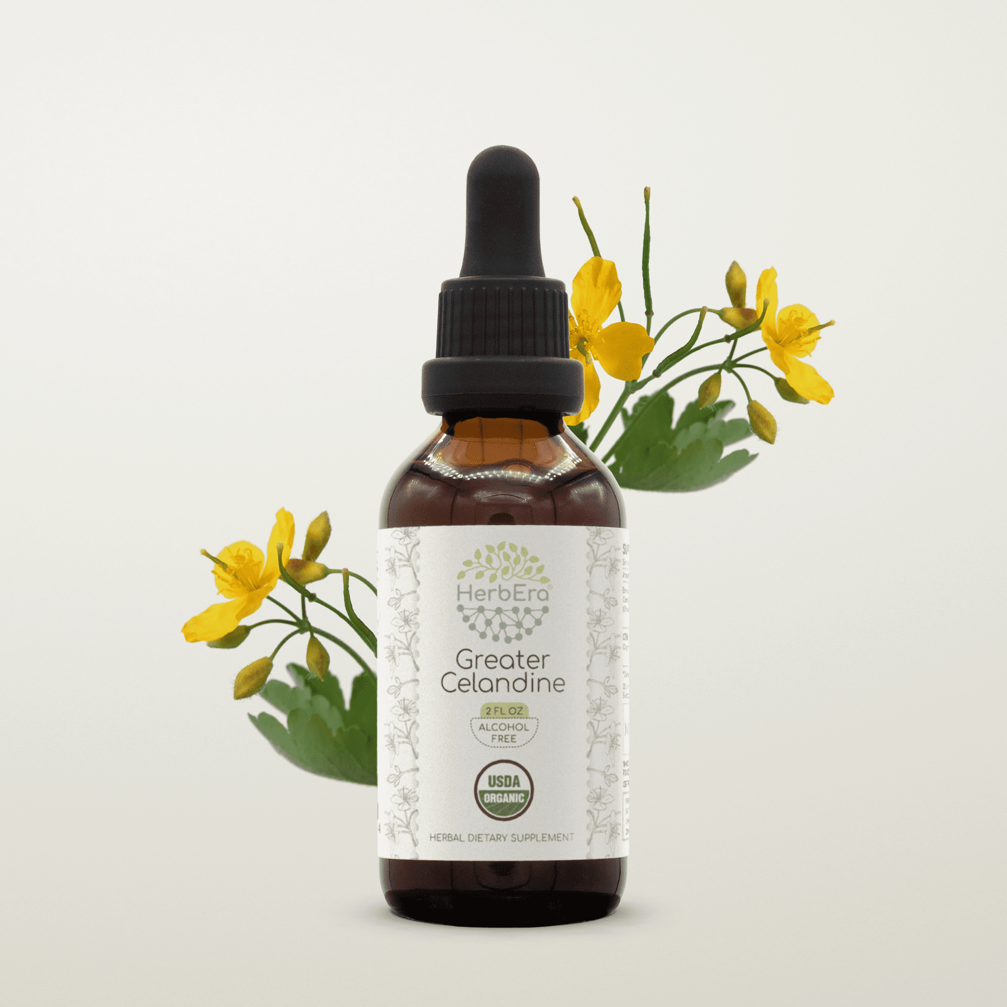 HerbEra Greater Celandine Tincture, Organic Herbal Dietary Supplement ...