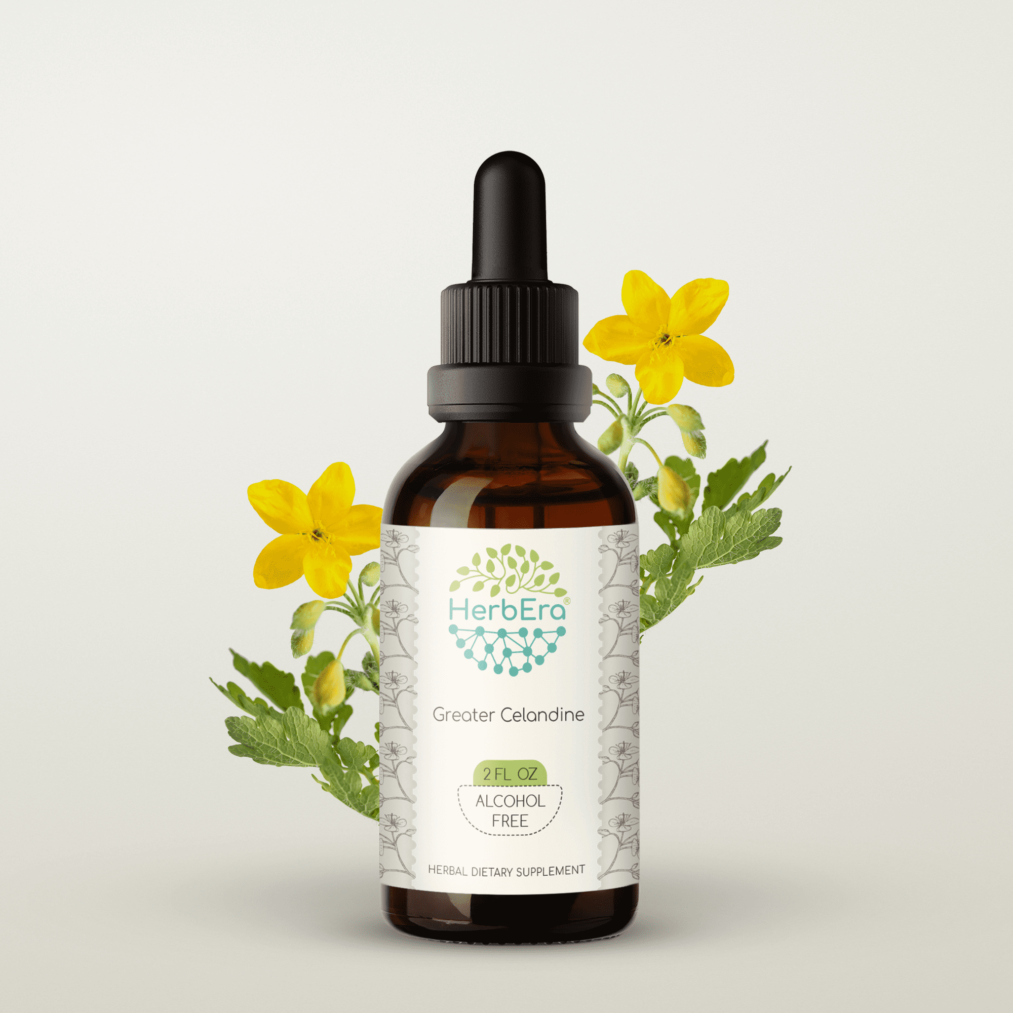 Greater Celandine Uses
