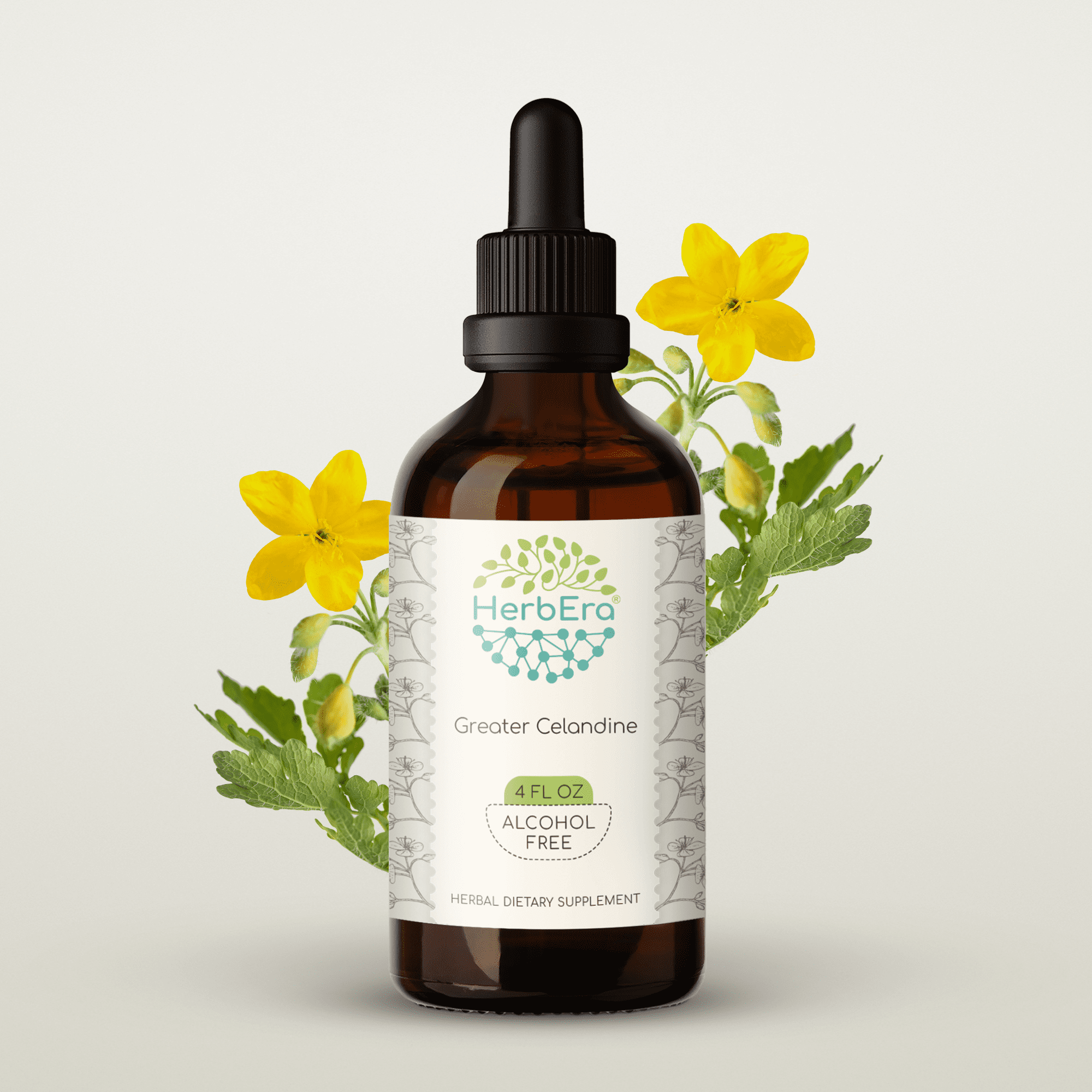 Greater Celandine Alcohol-FREE Herbal Extract Tincture, Super ...