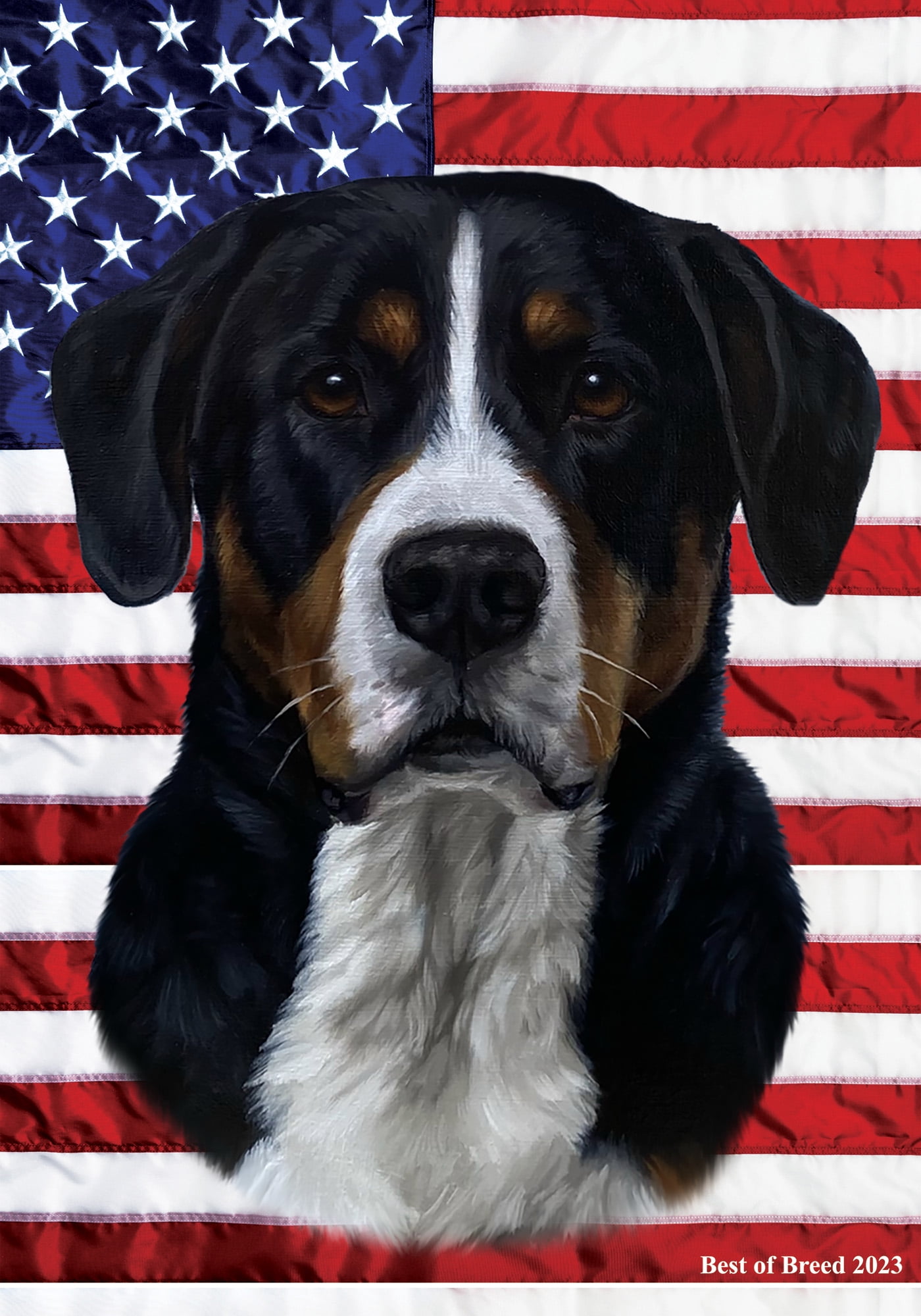 Greater Swiss Mountain Dog - Best of Breed All-American Patriotic III ...