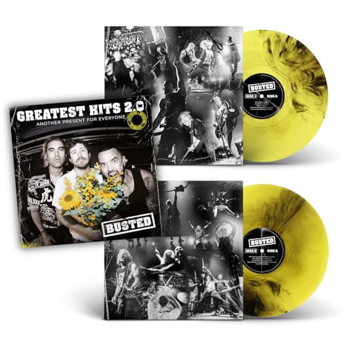 Greatest Hits 2.0: Another Present for Everyone (LP) - Walmart.com