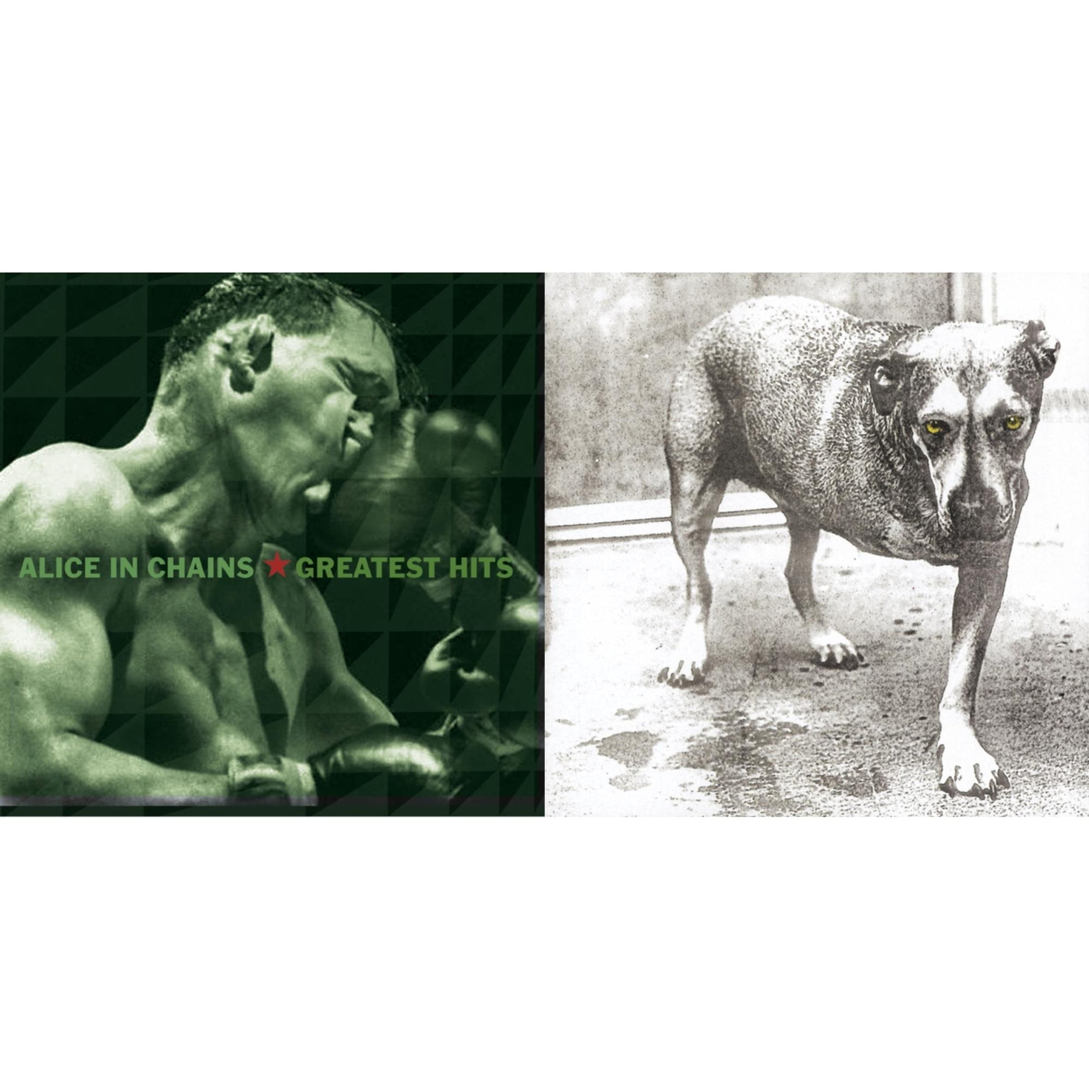 Greatest Hits & Alice In Chains [CD Bundle] - Walmart.com