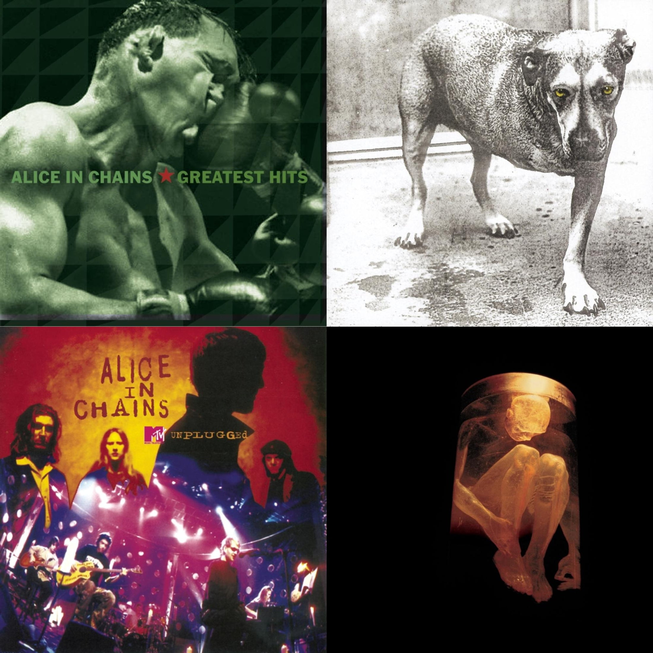 Greatest Hits & Alice In Chains & Unplugged & Nothing Safe: Best Of The ...