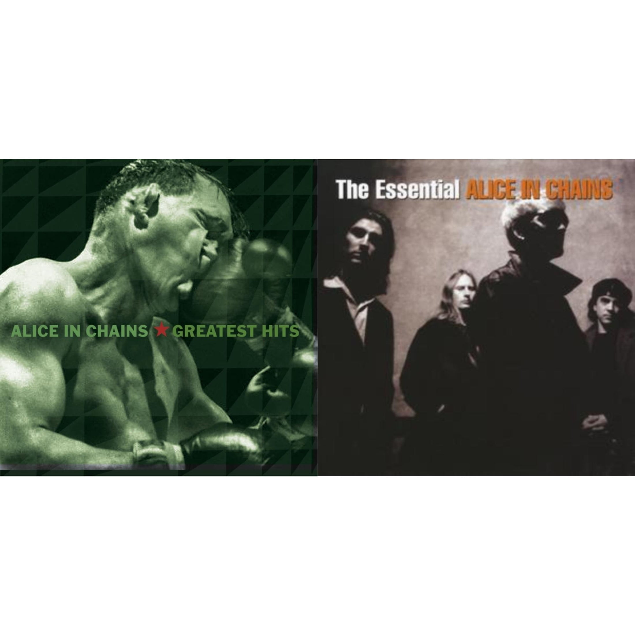 Greatest Hits & Essential Alice In Chains [CD Bundle] - Walmart.com