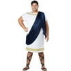 Adult Grecian Toga Costume Size Medium 40-42 - Walmart.com