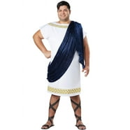 Adult Grecian Toga Costume Size Medium 40-42 - Walmart.com