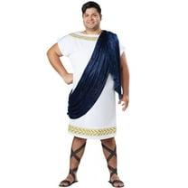 Adult Grecian Toga Costume Size Medium 40-42 - Walmart.com