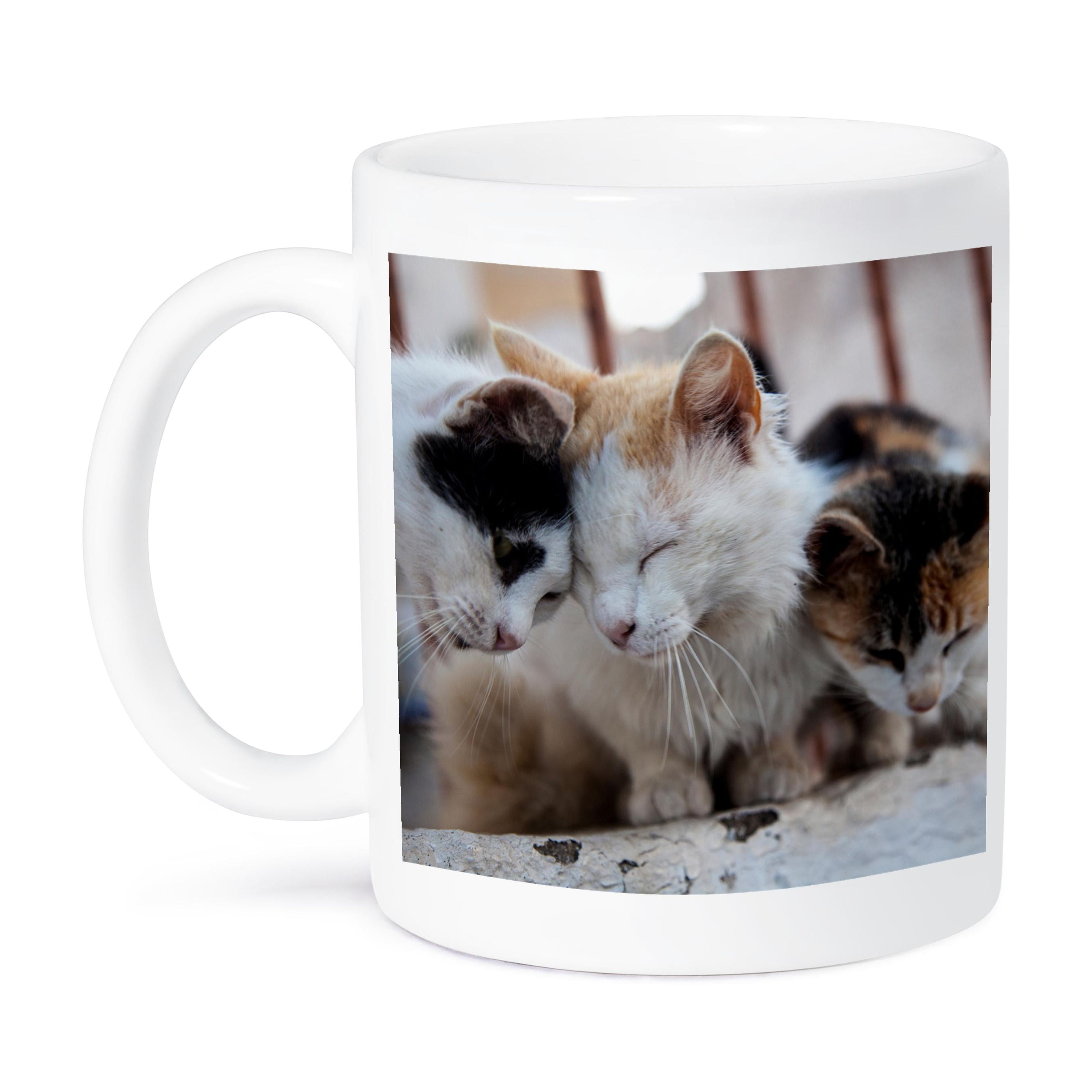 Greece, Santorini, Feral Cats Greeting Eachother., 15oz Mug - Walmart.com