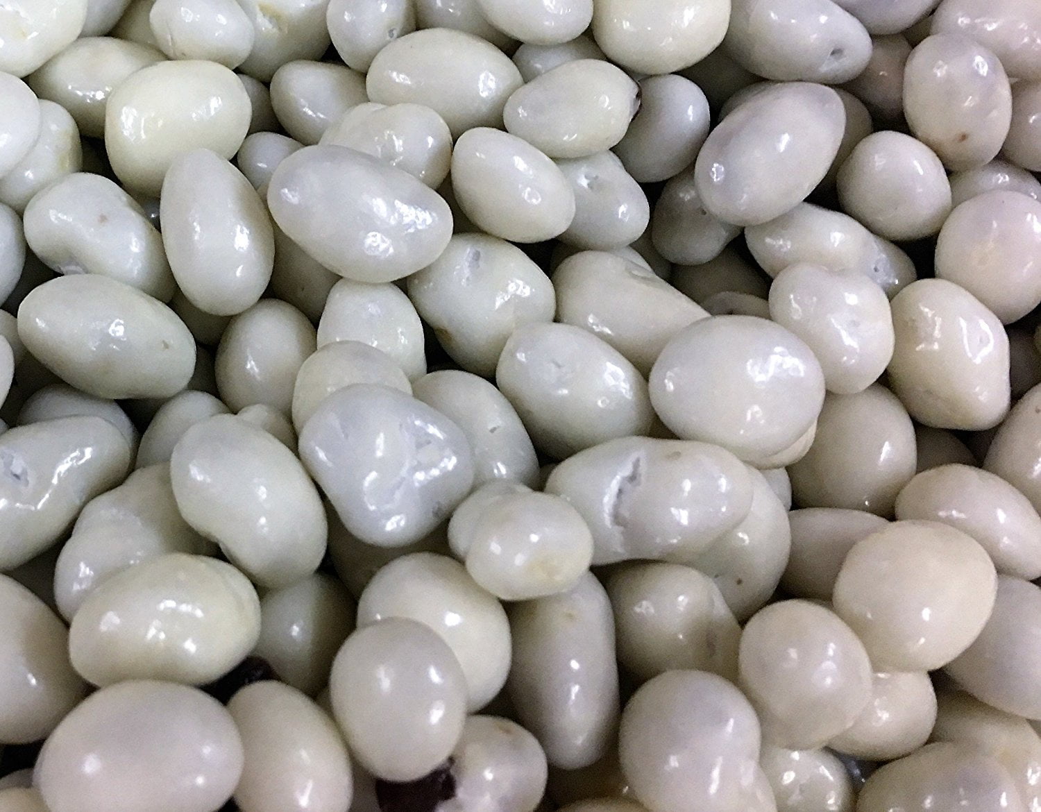 Its Delish Greek Yogurt Covered Raisins, Fresh and Tasty, 10 lbs Bulk ...
