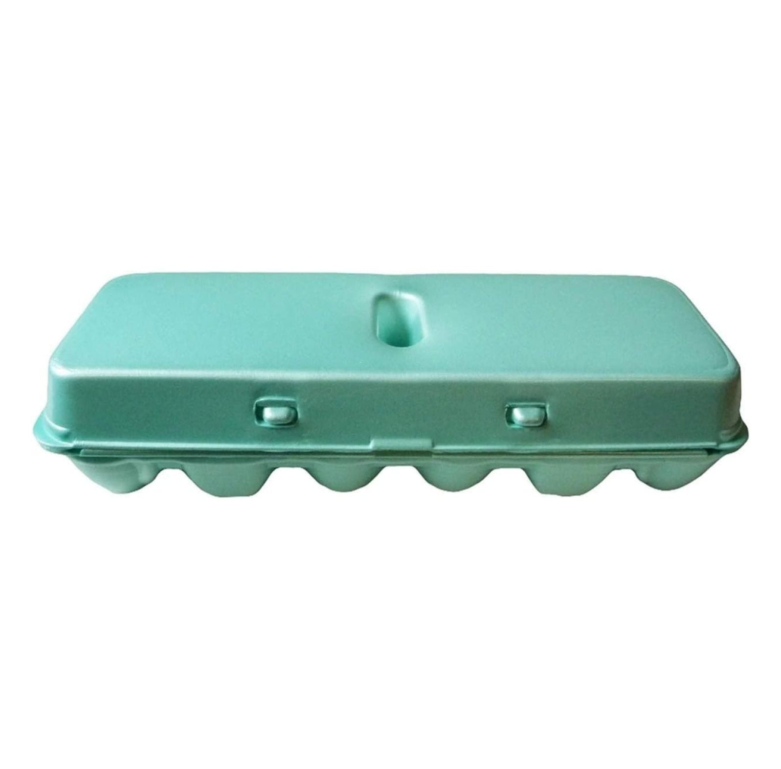 Green 12-Egg Blank Styrofoam Carton - Bulk 50 Pack - Walmart.com
