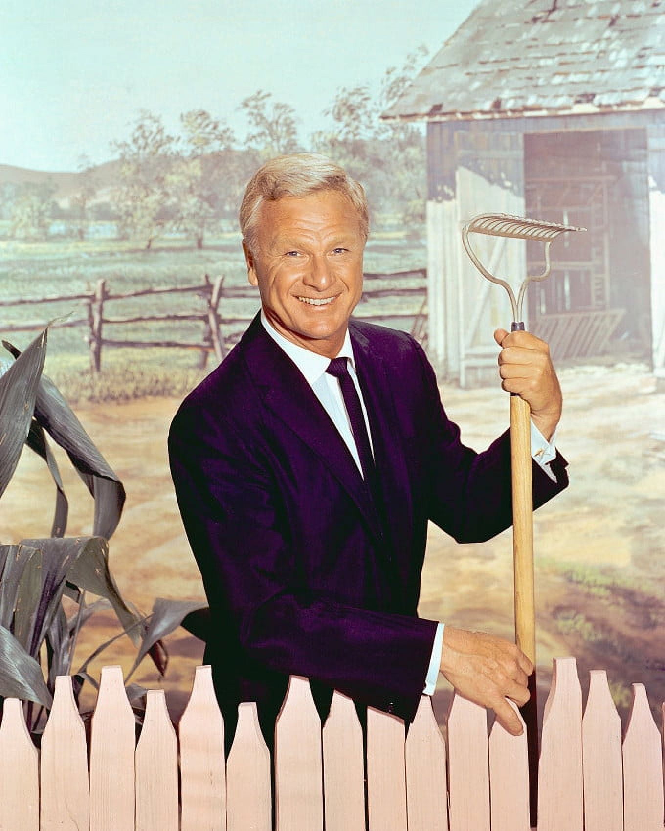 Green Acres 24X36 Classic Hollywood Poster Eddie Albert By Picket Fence ...
