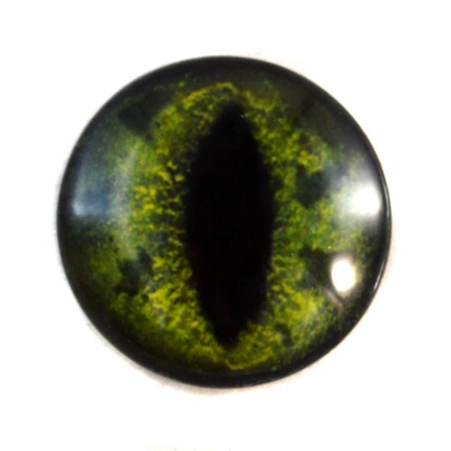 Green Alligator Glass Eyes - Walmart.com